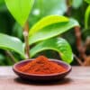 The Ultimate Guide to Red Kratom: Types, Effects, and Dosage - 42 Degrees